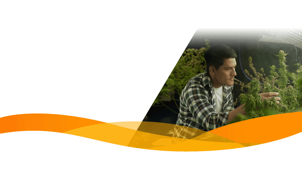 CBD Store POS System | CBD Shop Point of Sale Software